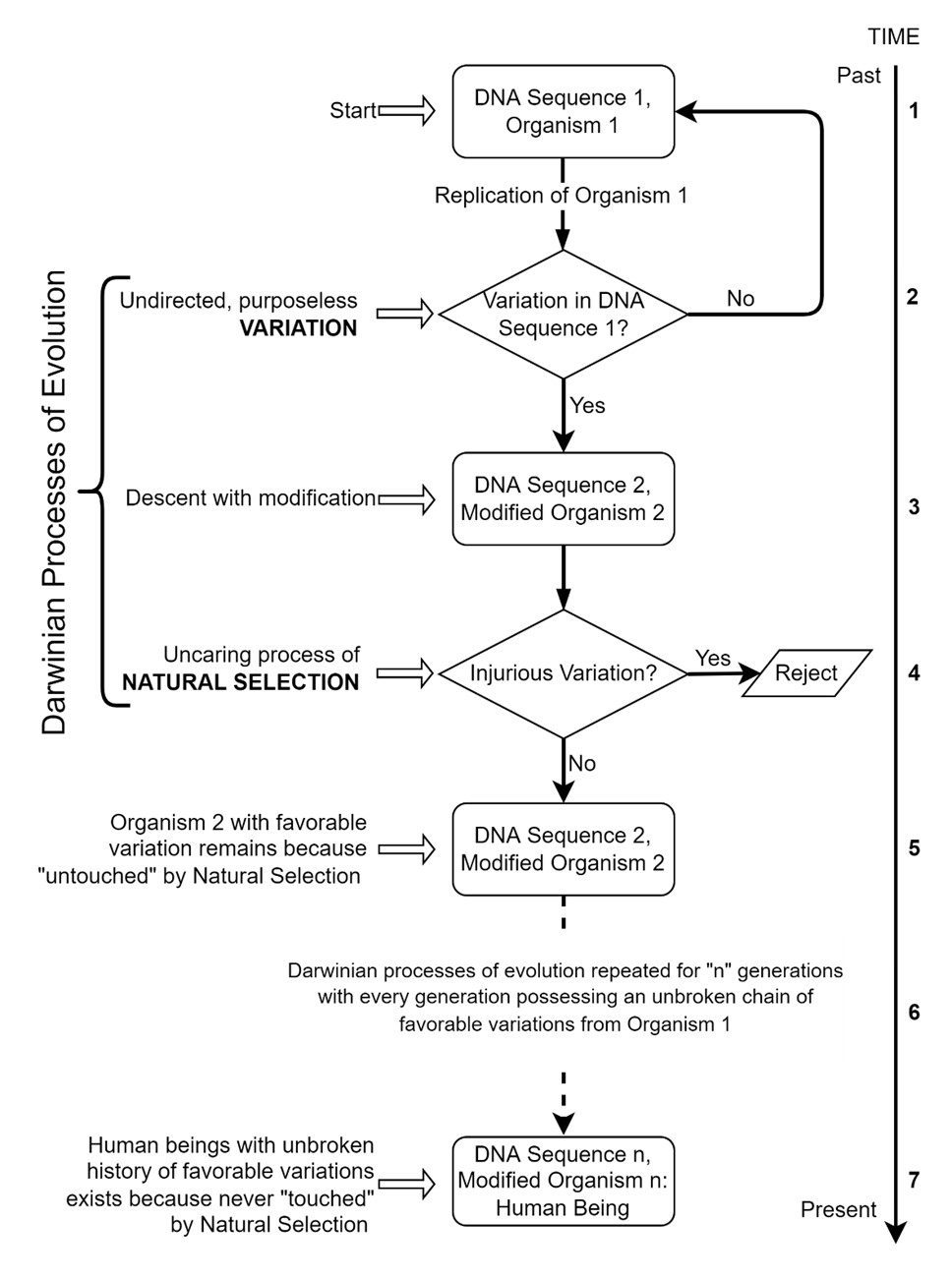 The Natural Selection Paradox – The Natural Selection Paradox